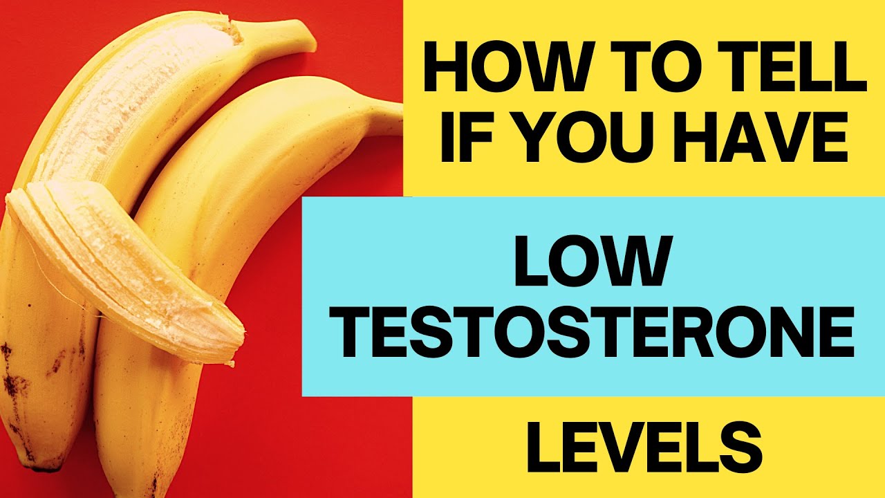 HOW TO TELL IF YOU HAVE LOW TESTOSTERONE LEVELS testosterone how-to-tell-if-you-have-low-testosterone-levels-testosterone