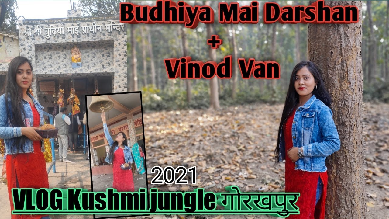Budhiya Mai Kushmi Jungle +Vinod Van Vlog With Me|Kushmi Jungle ...