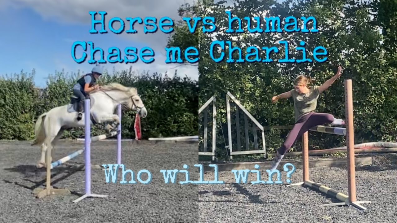 Horse Vs Human Chase me Charlie | who will win?! - YouTube