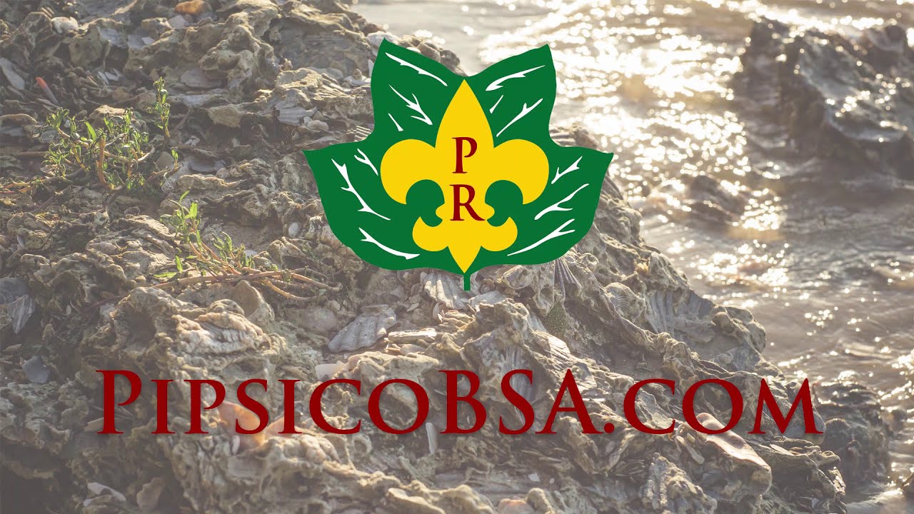 Pipsico Scout Reservation: James River Shoreline - YouTube