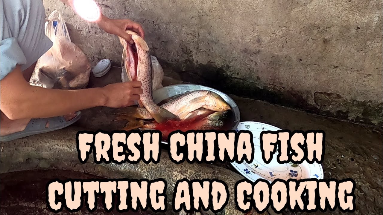Fresh China Fish Cutting And Cooking Quick And Easy Recipes - YouTube