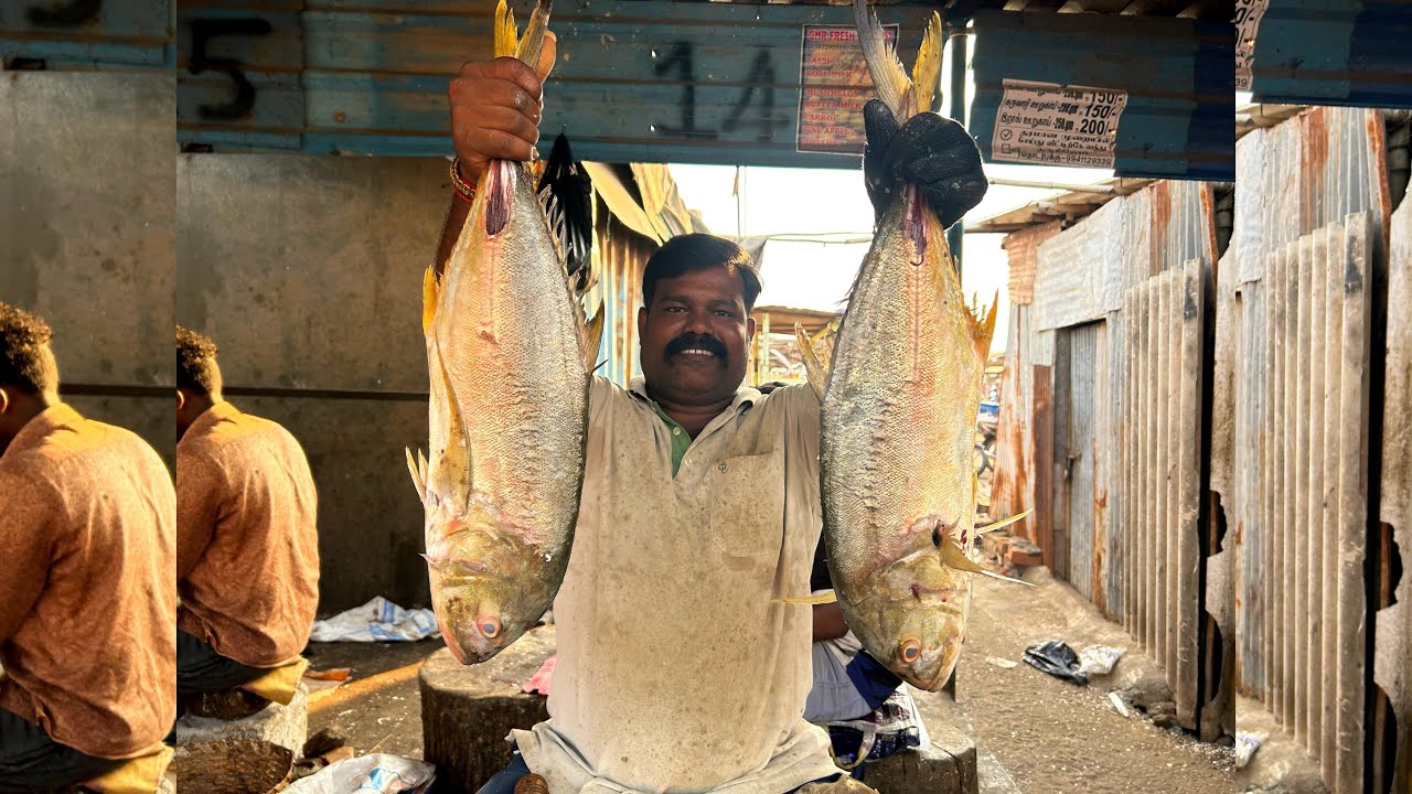 TWO PARRAI FISH 🐟 KASIMEDU CHEETAH DURAI FISH CUTTING SKILLS # ...