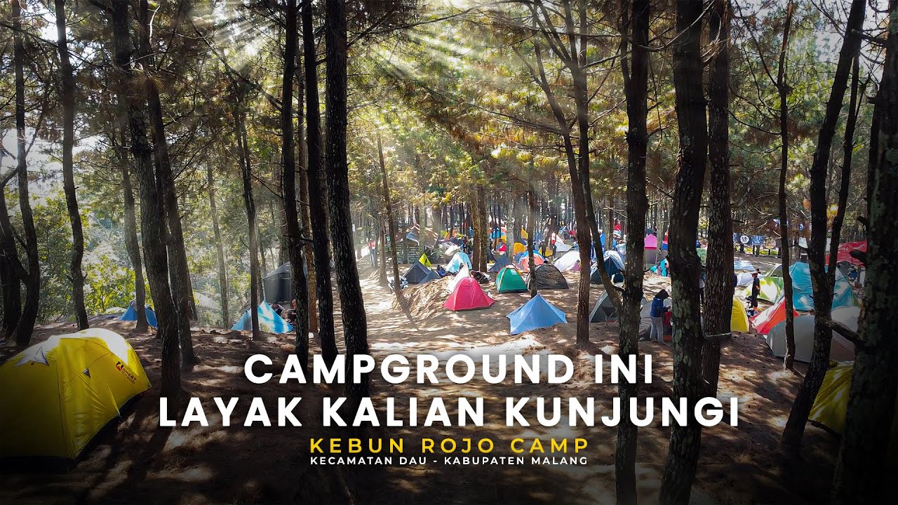 CAMPING SERU BERSAMA SAHABAT - KEBUN ROJO CAMP DAU MALANG - YouTube