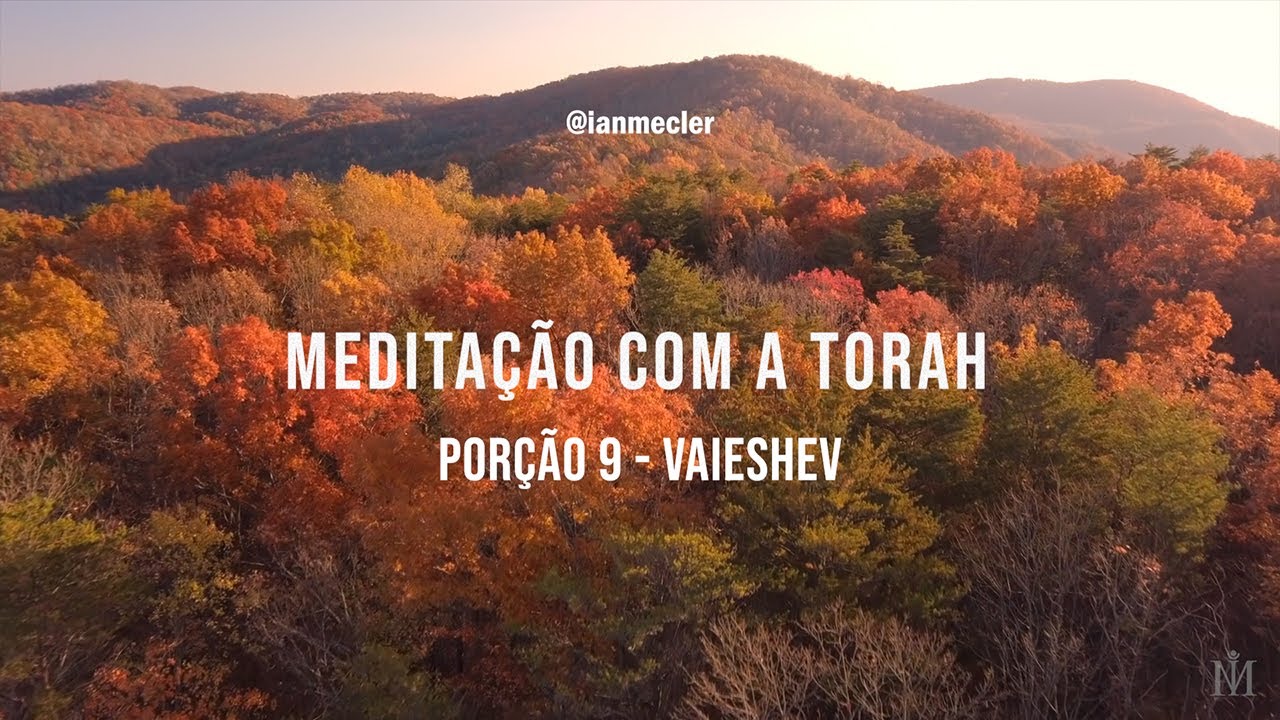 Porção 09 - Vaieshev | Meditação com a Torah | Com Ian Mecler - YouTube