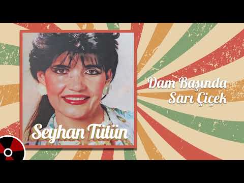 Seyhan Tütün - Dam Başında Sarı Çiçek