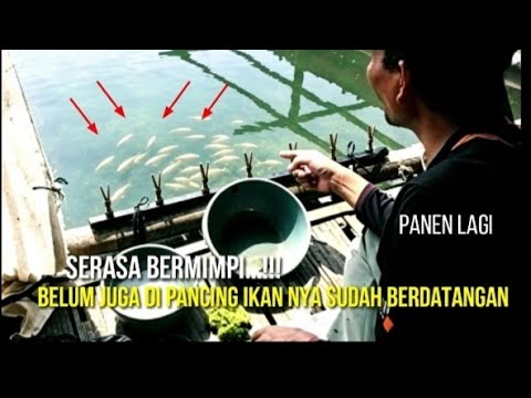BARU MAU PASANG JORAN IKAN NYA SUDAH NGUMPUL DULUAN || mancing Saguling terbaru