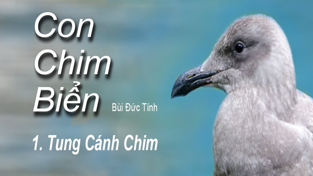 016 | Con Chim Biển (Phần 1) | Tung Cánh Chim - YouTube
