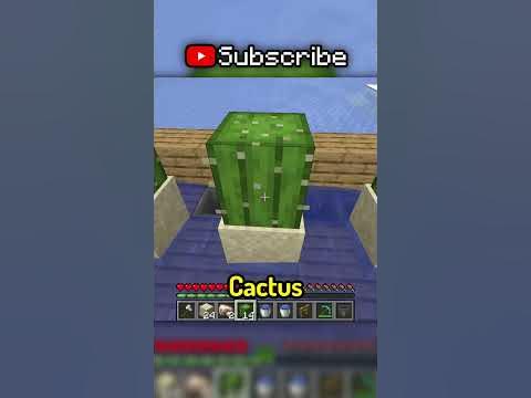 The BEST way to level up in Minecraft - YouTube