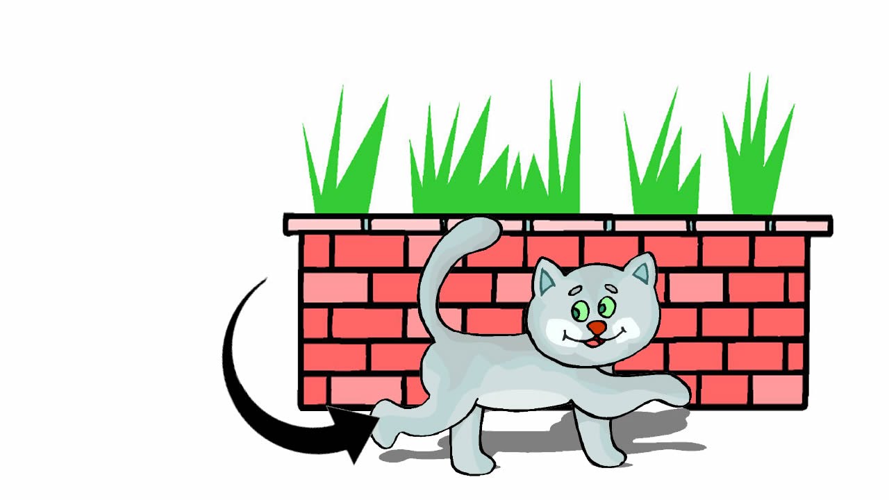 around-corner ASL - YouTube