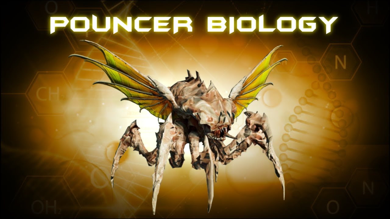 Pouncer Terminid EXPLAINED: Evolution, Biology & Deadly Hunting Tactics ...