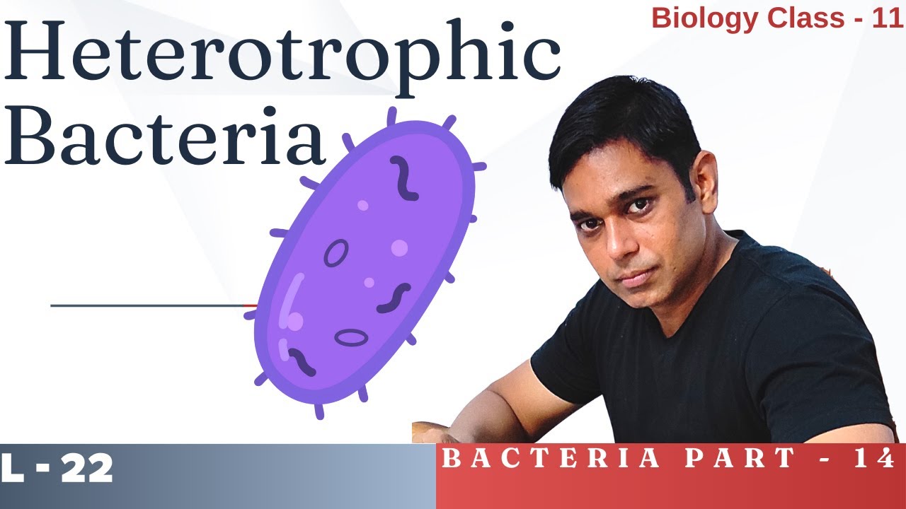 Biological Classification | Bacteria Part 14 | Lecture 22 | Biology ...