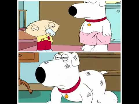 Family guy stewie beats up brian (both scenes at the same time) - YouTube
