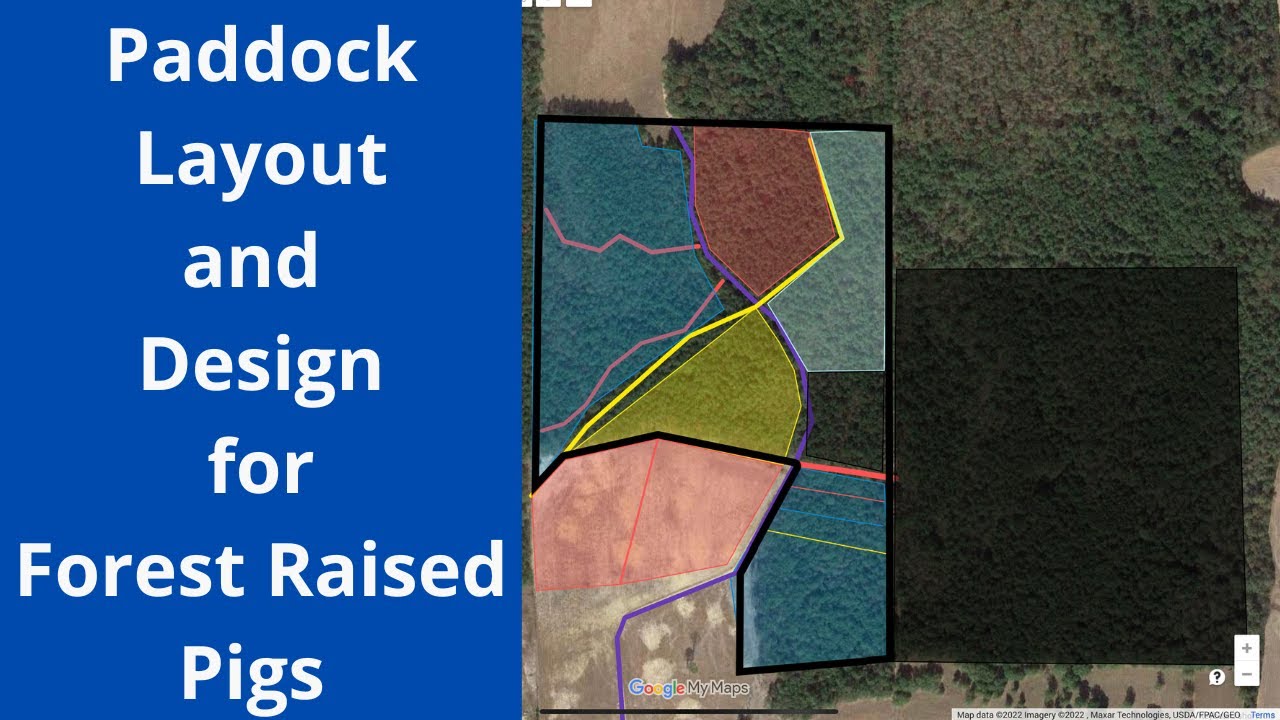 Easy Rotational Grazing and Foraging: Paddock Design for Forest and ...