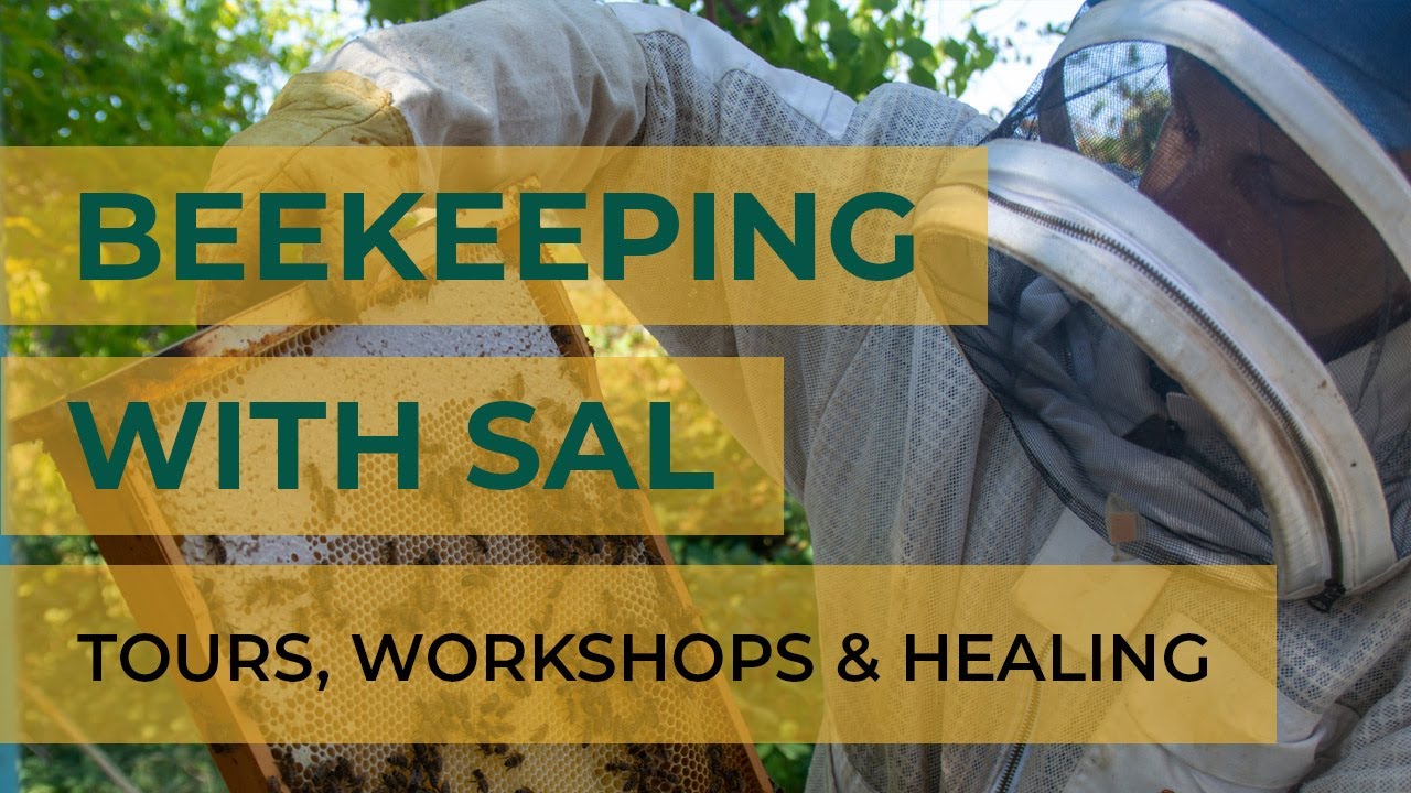 Discover Beekeeping with Sal – Tours, Masterclasses & Bee Venom Healing ...