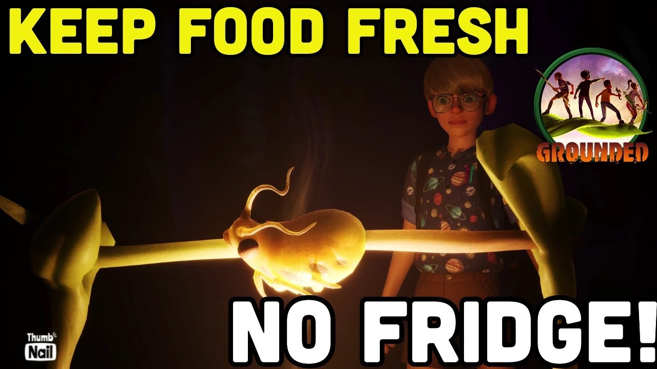 Grounded | How to Keep Food Fresh | NO FRESH STORAGE NEEDED! - YouTube