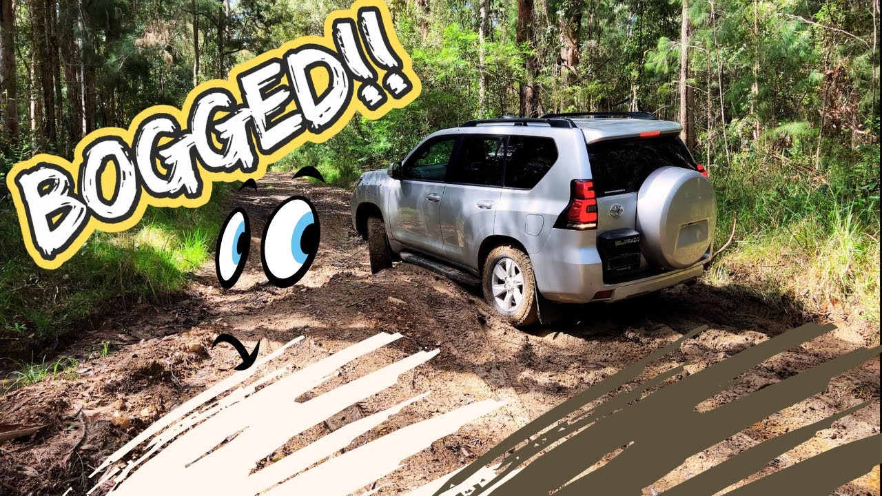 Toyota Land Cruiser Prado Off-roading | Bogged in Wallingat State ...