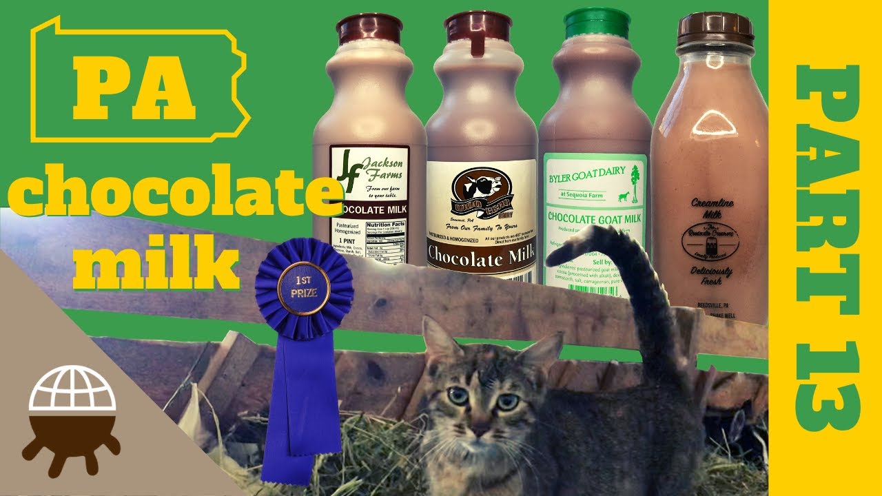Pennsylvania Chocolate Milk Review (Part 13) - YouTube
