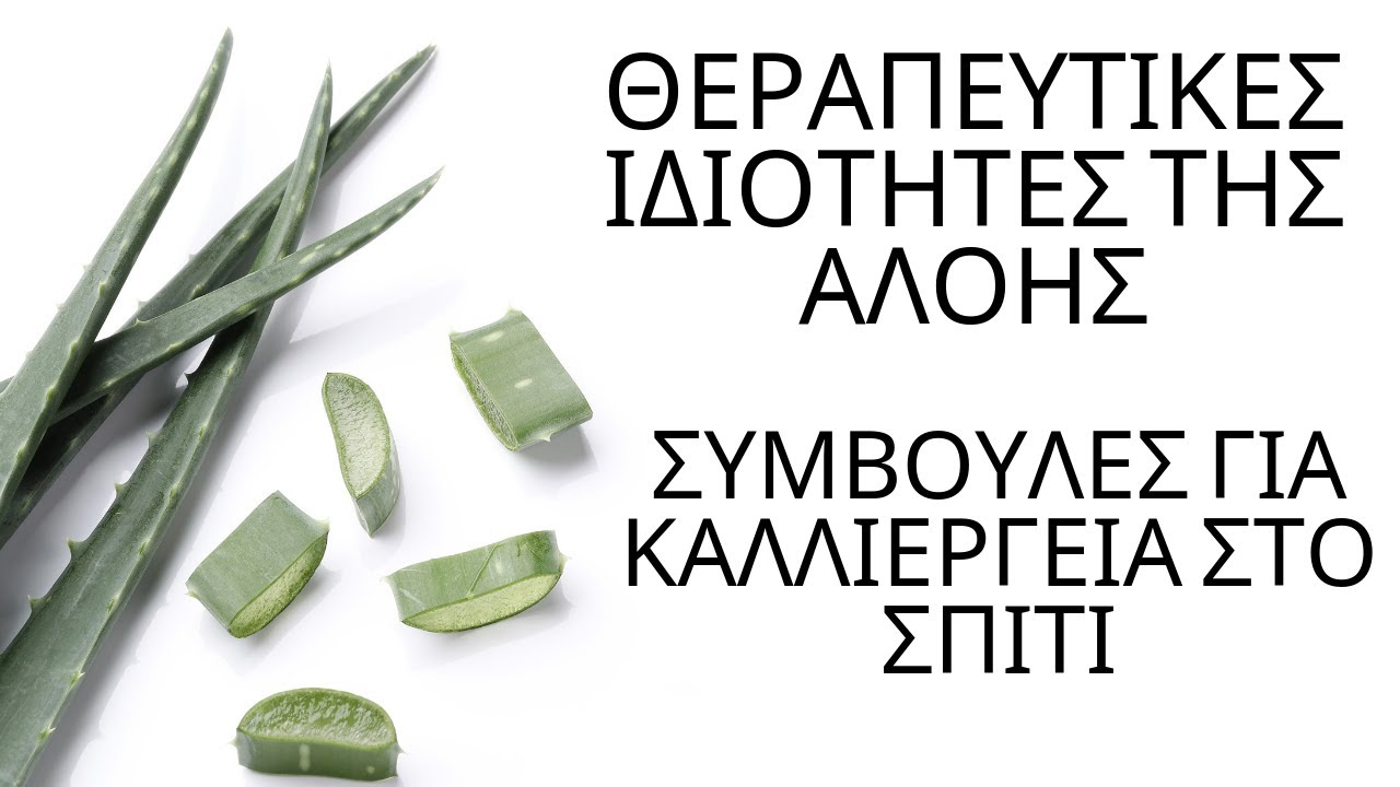Αλοη βερα ιδιότητες και tips καλλιέργειας στο σπίτι - YouTube