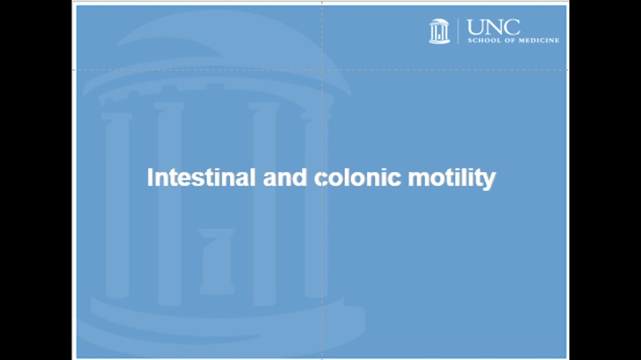 Intestinal and colonic motility - YouTube