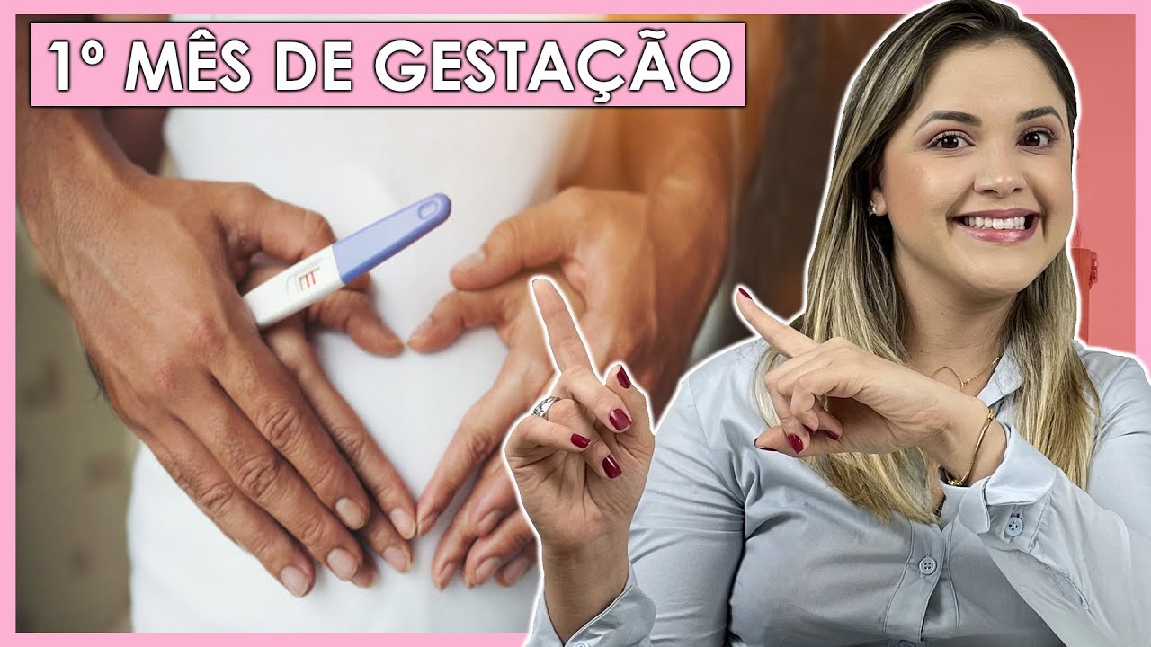 A FORMAÇÃO HUMANA - 1° MÊS DE GESTAÇÃO - YouTube