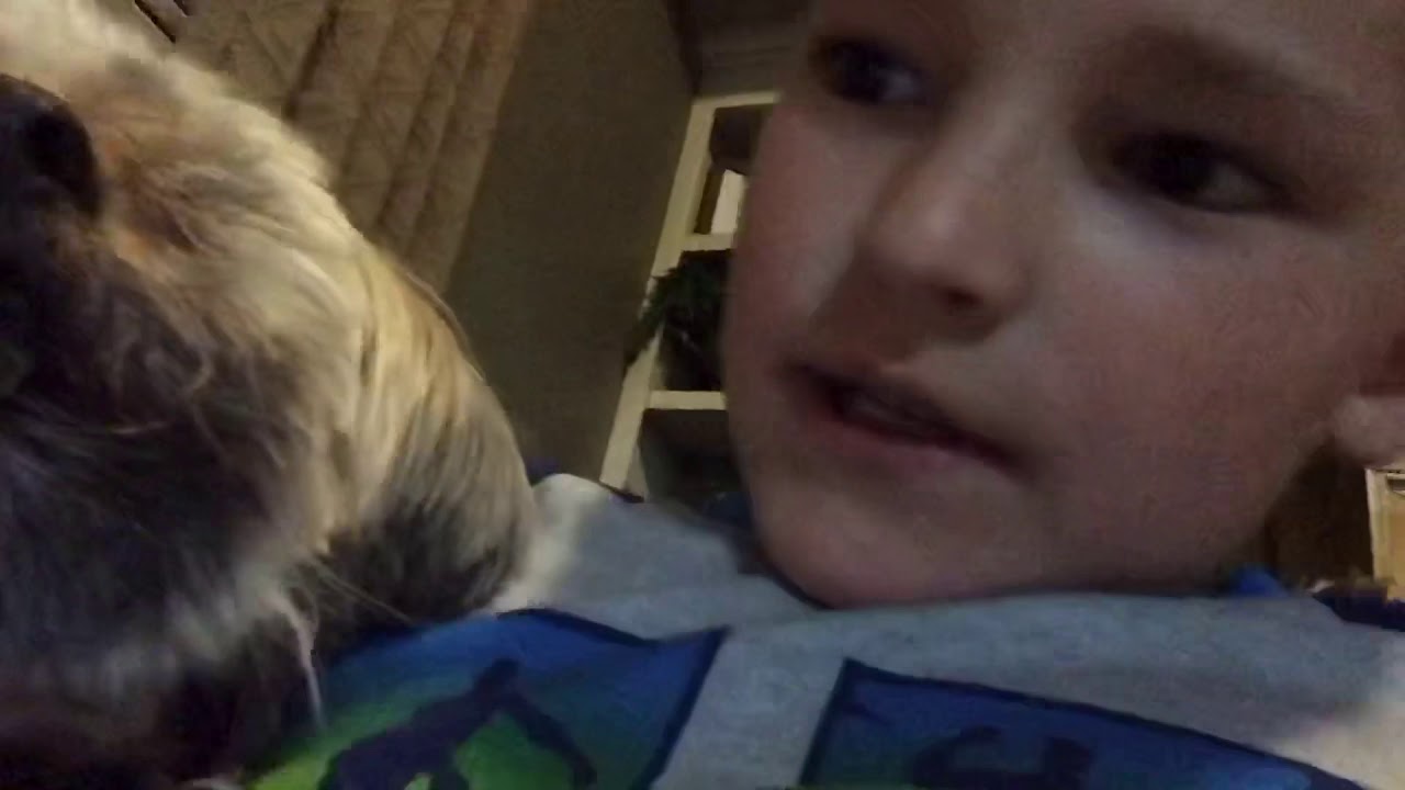 Teleporting dog to me!!!!!!! - YouTube