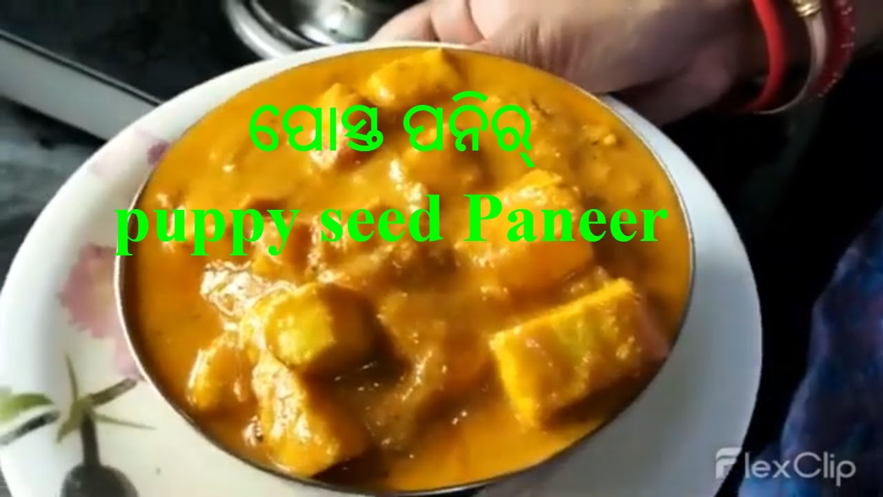 ପୋସ୍ତ ପନିର୍ | puppy seed Paneer Recipe - YouTube