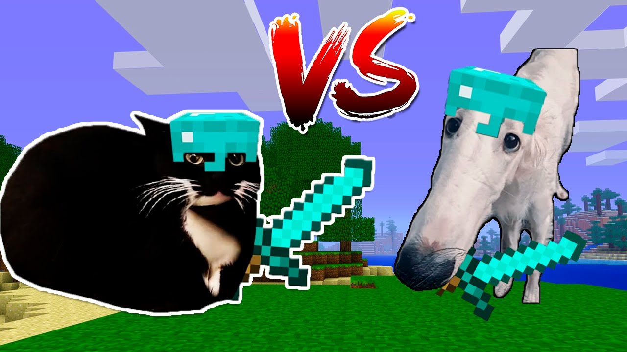 MaxWell Cat vs Borzoi Dog but in Minecraft - YouTube