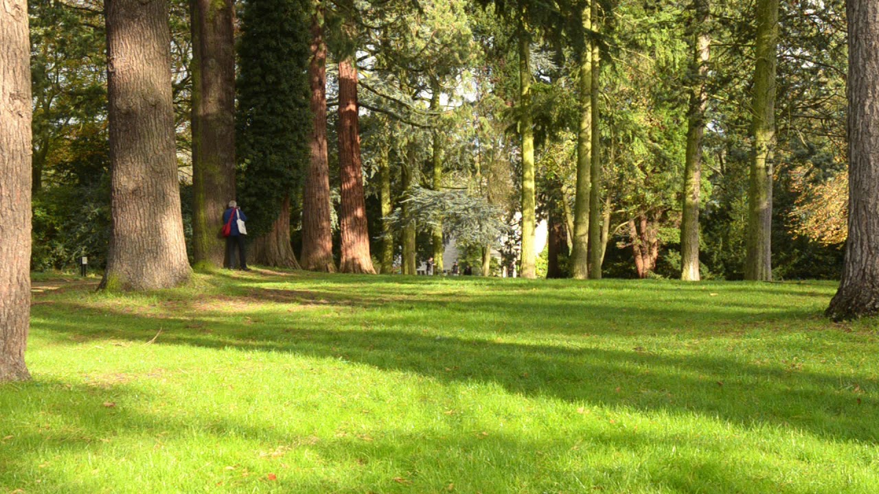 random footage , stratty. hole 3 - YouTube