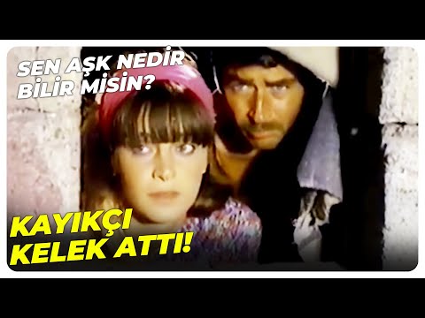 Pınar ve Bora İhanete Uğradı! | Sen Aşk Nedir Bilir Misin? Filmi En İyi Sahneler