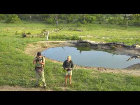 Jan 20, 2017- Tayla Dances for the Djuma Waterhole Cam - YouTube