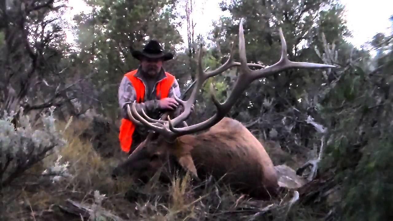 Colorado Trophy Unit #61 | Second Season Bull Elk - YouTube