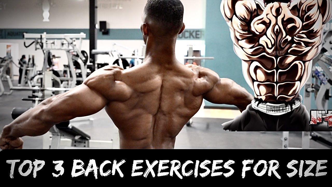 TOP THREE BACK EXERCISES FOR SIZE - YouTube