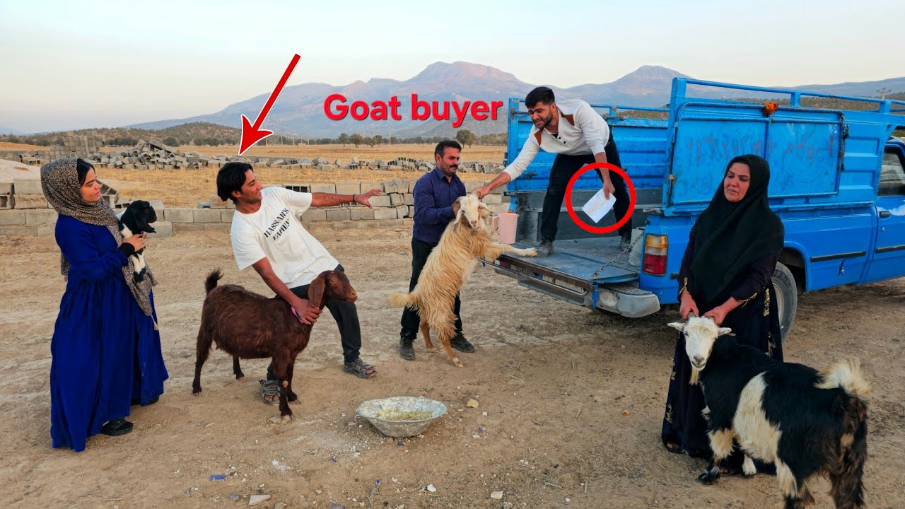 Goats vs. Gears: Selling the Herd to Paying the Car Debts - YouTube