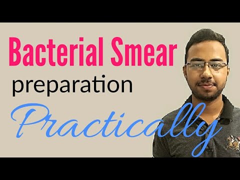 How to make a bacterial smear | Slide perpetration, smear making ...