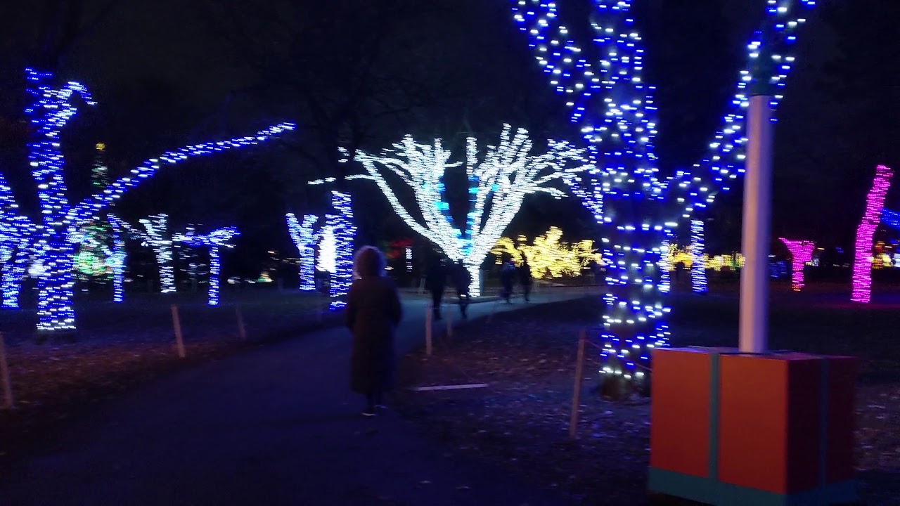 2019 holiday season... Bright Lights festival light show - YouTube