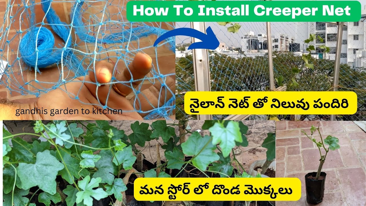 నైలాన్నెట్ తో నిలువు పందిరి ఎలా? | Creeper net for Vertical Trellis ...