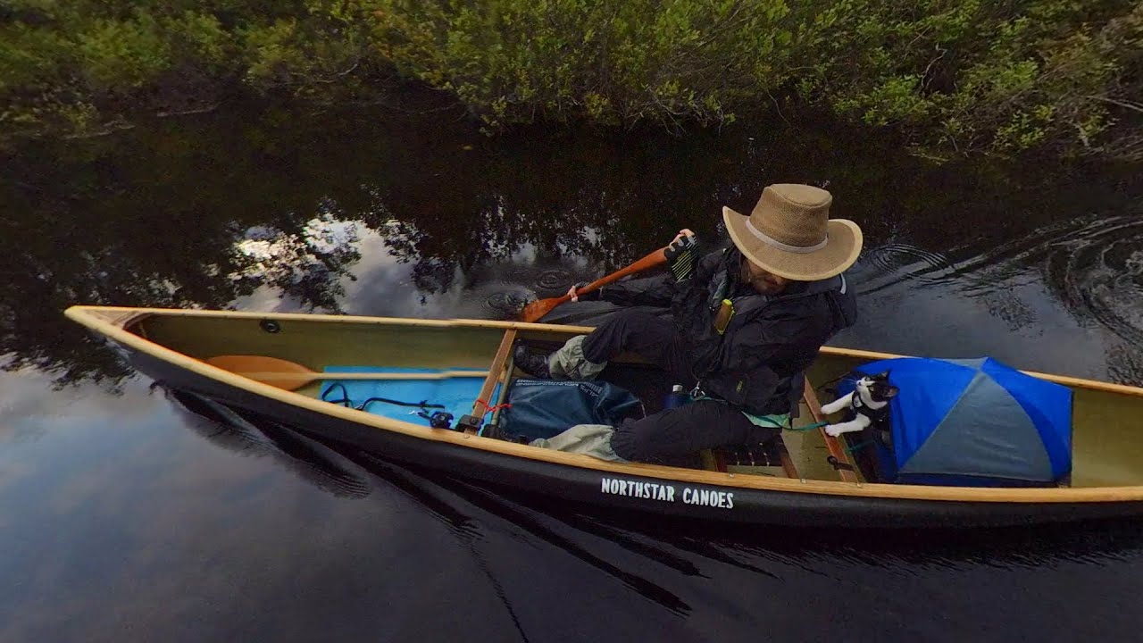 Bandit the Adventure Cat goes canoeing - YouTube