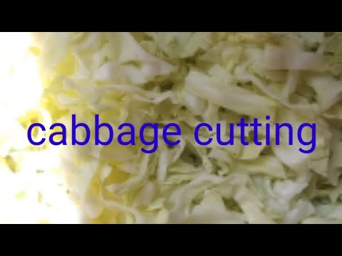 cabbage cutting short video