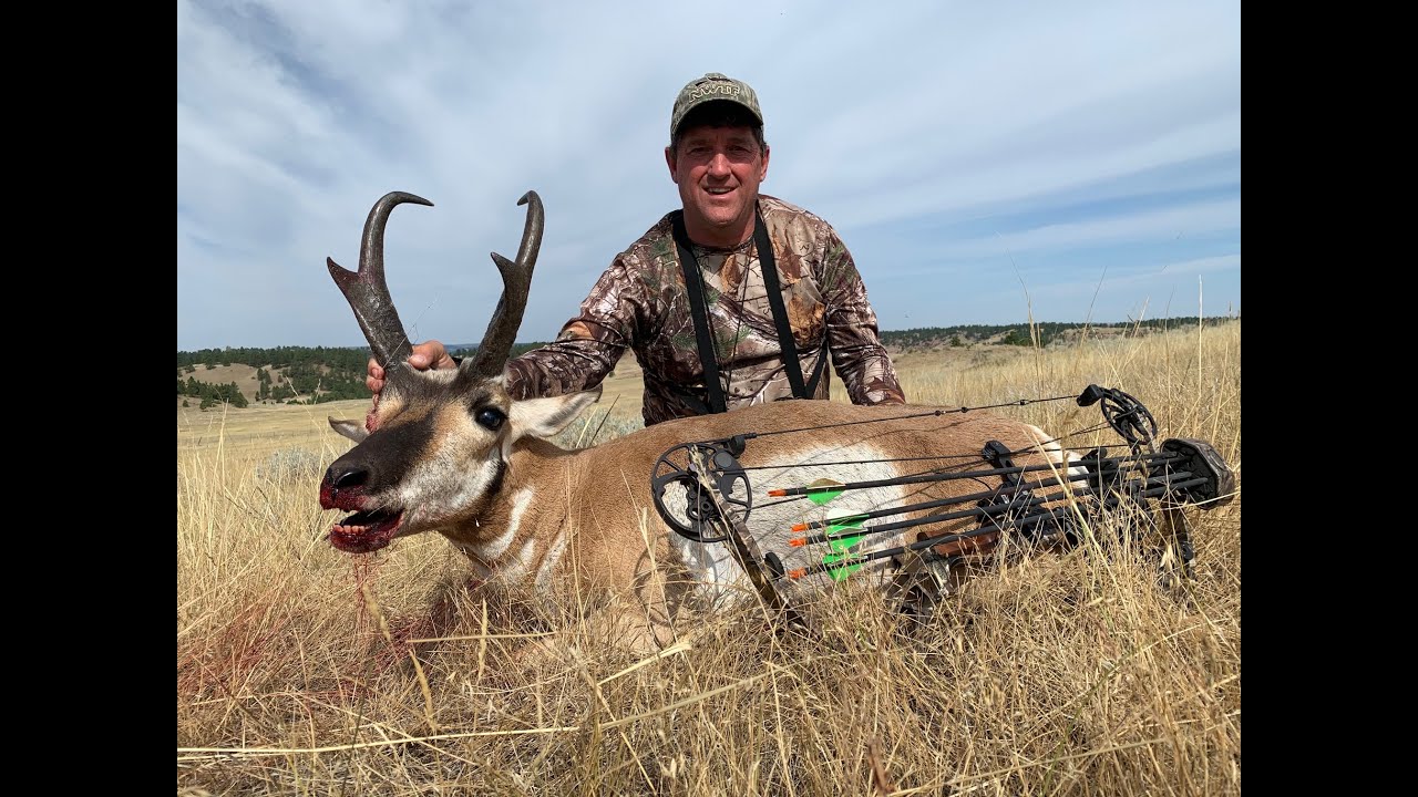 Antelope Bow Hunt 2020 - YouTube