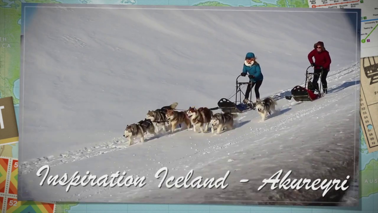 Dog sledding Trailer - YouTube