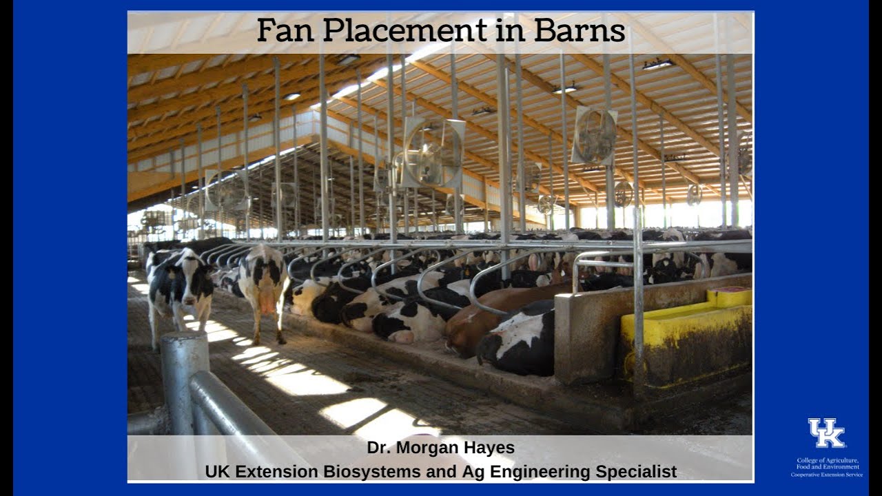 Fan Placement in Barns - YouTube