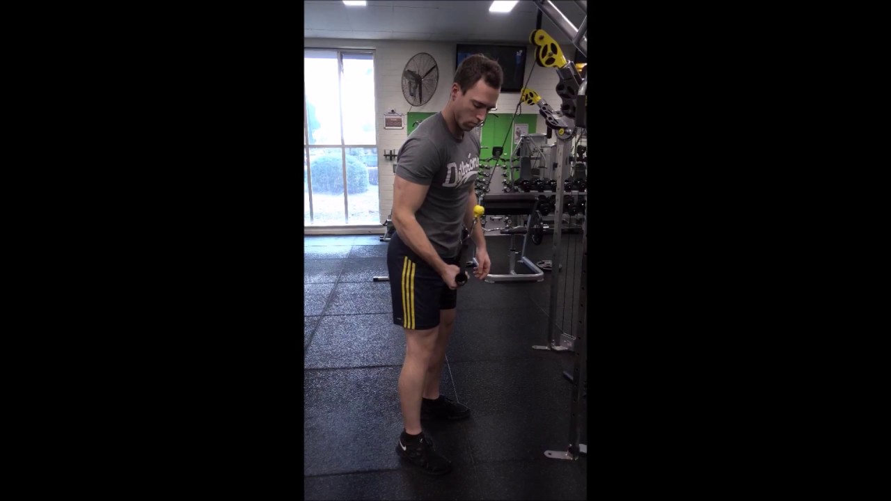 How To: One Arm Reverse Grip Triceps Pushdown - YouTube