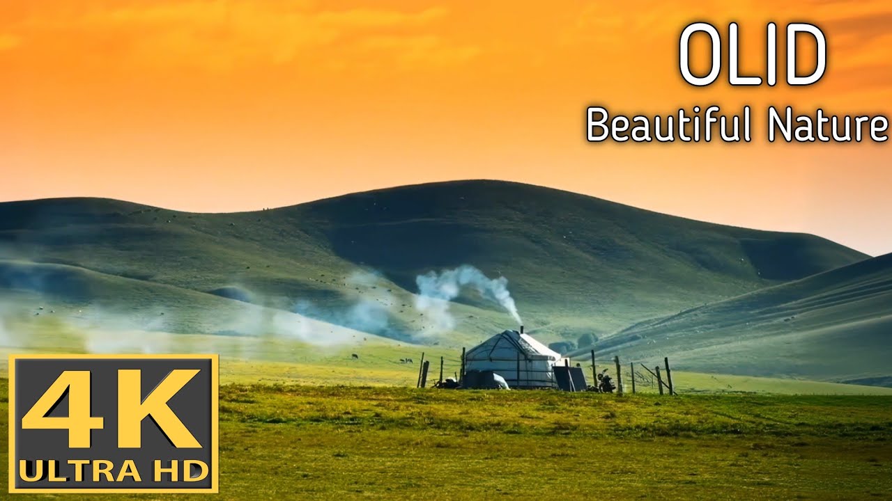 The Real 4K Nature,(HDR 60 FPS) Dolby Vision, 4K Video ULTRA HD#4k #8k ...