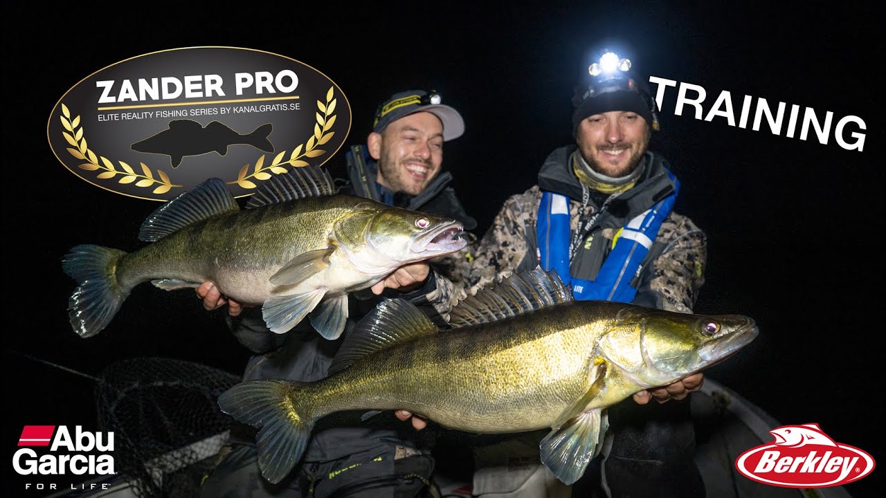 Zander Pro! Freddy und Timo trainieren! - YouTube