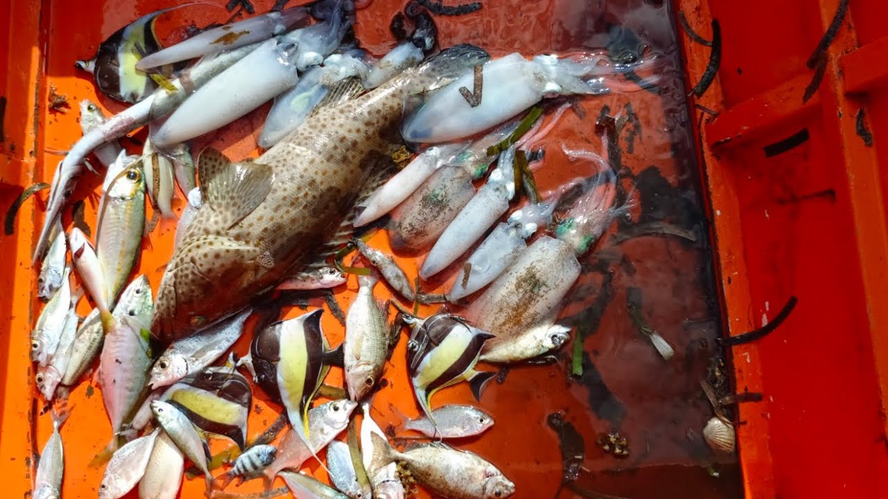 MALALAKING HULING ISDA SA BAKLAD || altocumulus clouds - YouTube