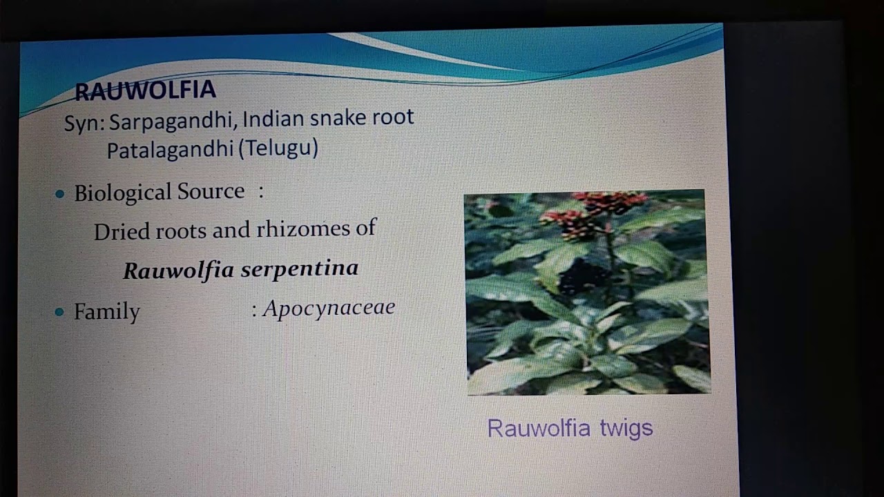 Rauwolfia (Pharmacognostic study) Part -1 - YouTube