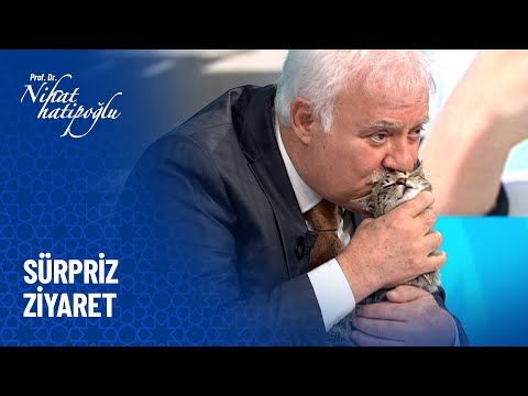 Stüdyomuzun kedisi Ebru'dan ziyaret - Nihat Hatipoğlu Sorularınızı Cevaplıyor