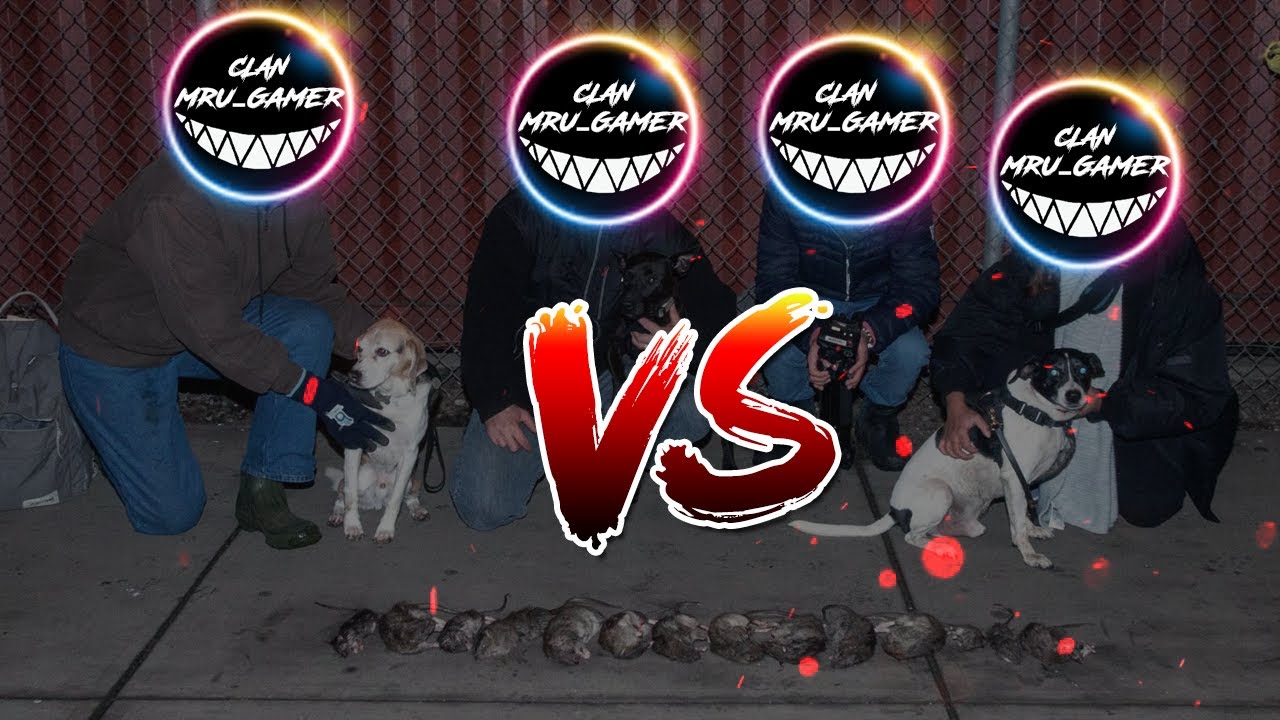 AGAR.IO// MÓVIL// ÉPICO // CLAN MRU VS The Supreme Rat & RATS🐀 - YouTube