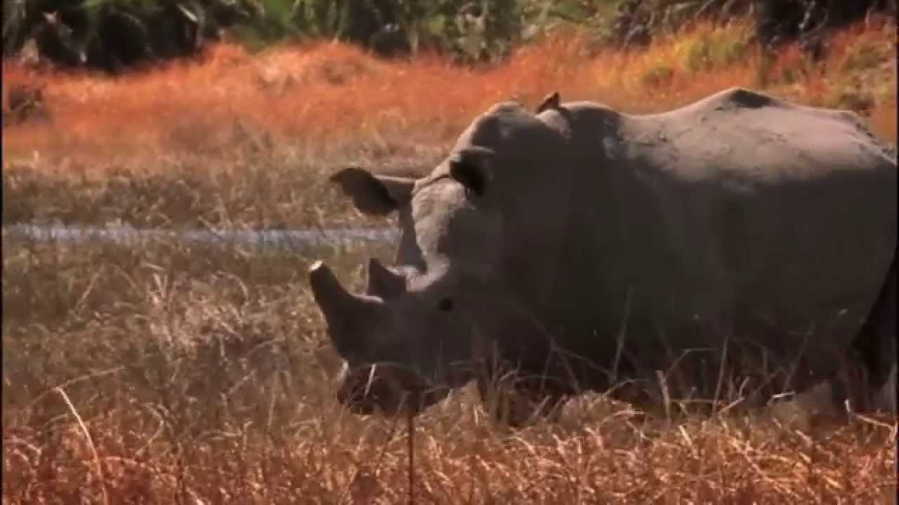 An Ugly Situation - YouTube