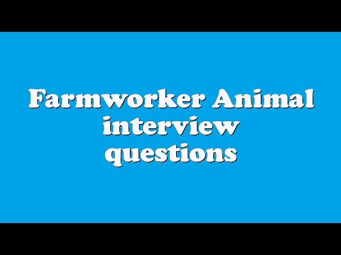 Farmworker Animal interview questions - YouTube